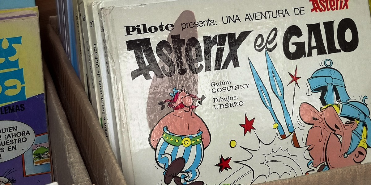 Znak towarowy "Obelix" nie dla polskiej firmy. Jest decyzja sądu UE
