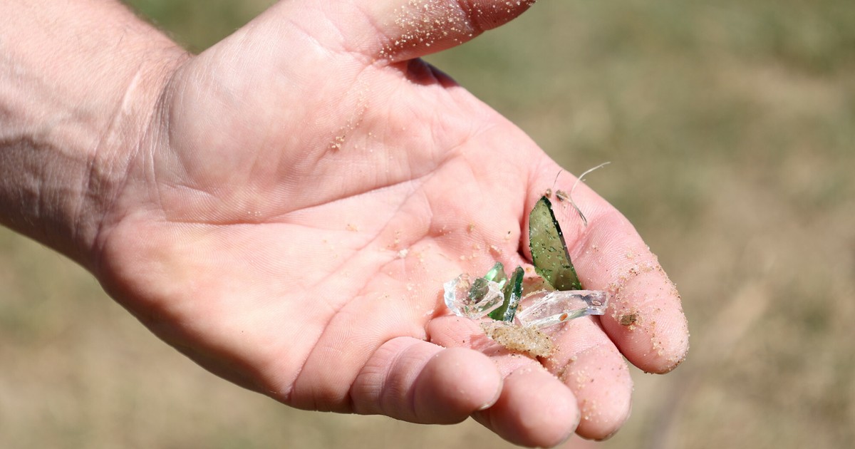 Złote algi powróciły na Śląsku. Odłowiono kilka ton śniętych ryb