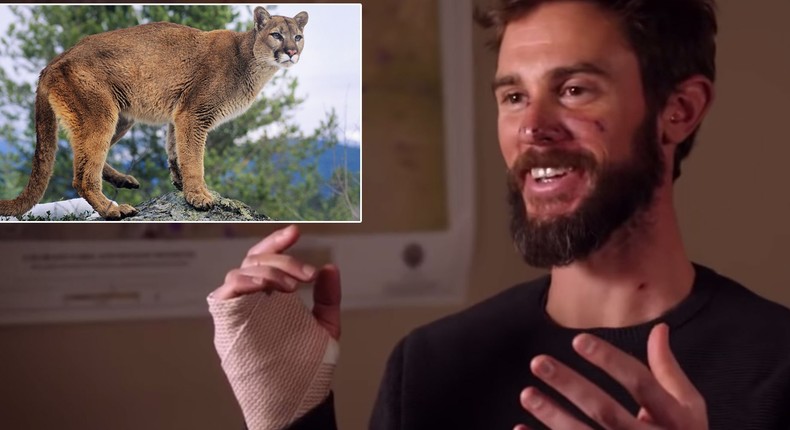 Man who survived a mountain lion attack by choking the animal to death said he let out a ...