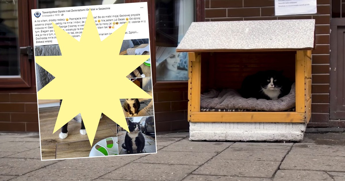 O Gacku ze Szczecina pisał cały świat. Dziś ciężko go rozpoznać