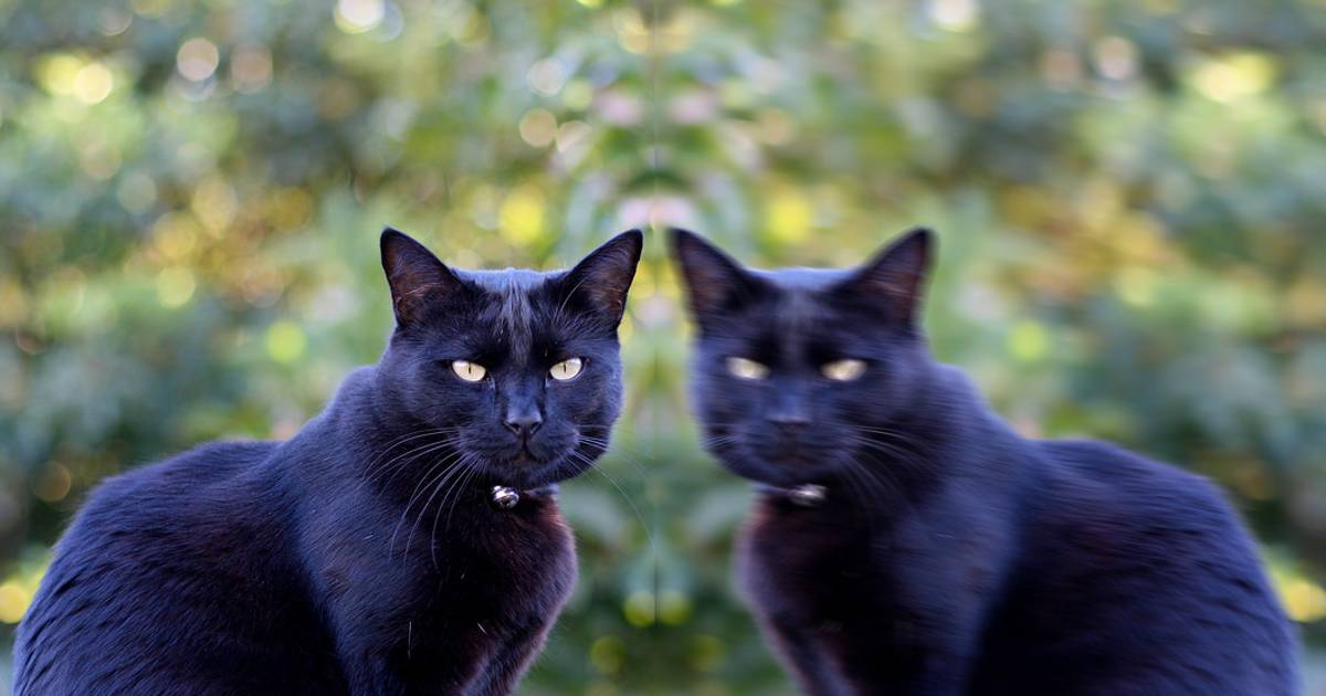 Czym jest deja vu? Już wiemy, czemu przeżywamy niektóre zdarzenia kilka razy - Noizz