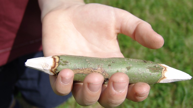 Klipa i klipa, czyli zabawa i oferma. Felieton Marka Szołtyska - Śląsk