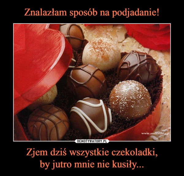 "Nowy rok, nowa ja". Zobacz najlepsze memy o postanowieniach ...