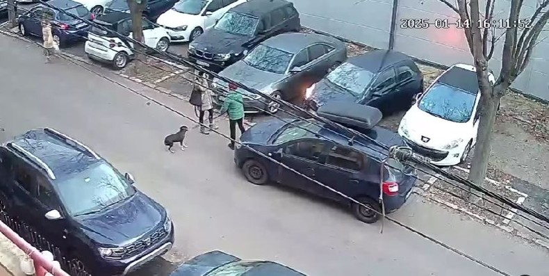 (Video) "Alo bre, ženo, jesi: Normalna?!" Žestok okršaj komšinica na ...