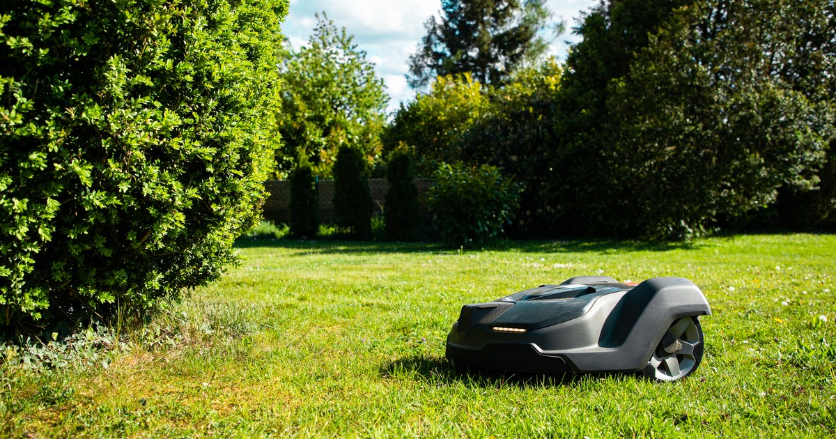 Robot koszący za 2, 5 czy 10 tys. zł? Który warto kupić?