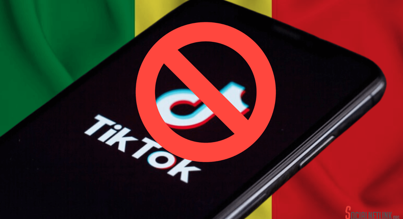 Countries Ban Tiktok Pulse Nigeria