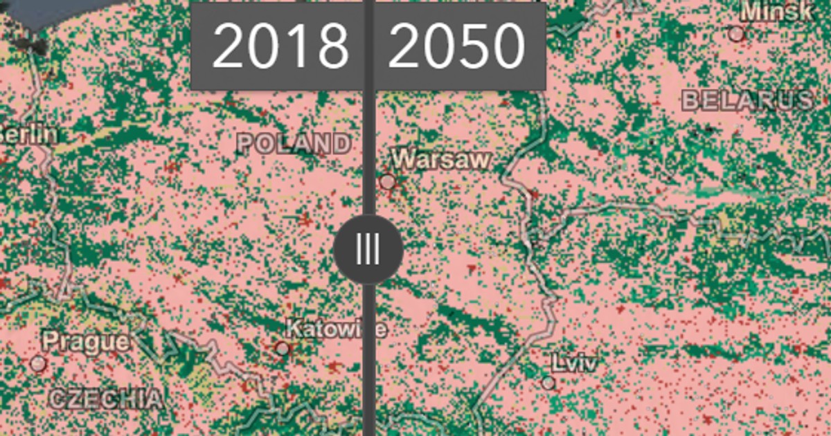 Tak będzie wyglądać Polska w 2050 r. Przesuń suwak i przenieś się w przyszłość - Wiadomości