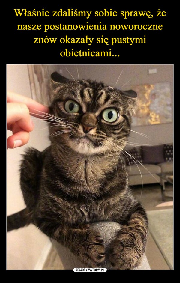 "Nowy rok, nowa ja". Zobacz najlepsze memy o postanowieniach ...