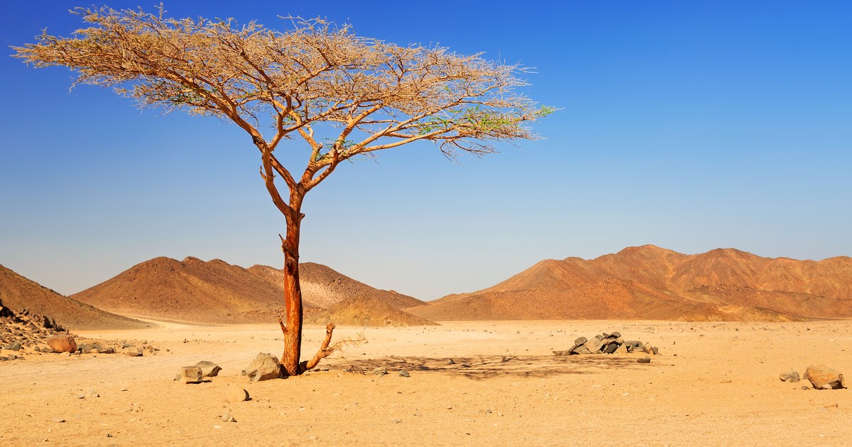 The most humid cities in Africa: Where sweating becomes an art form ...