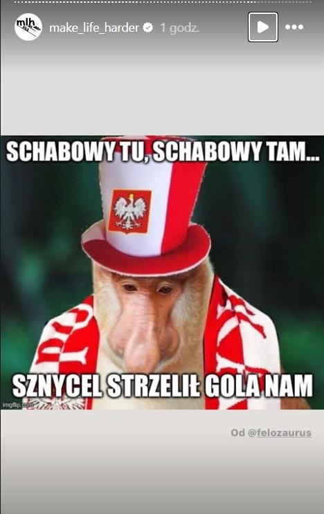 Euro 2024. Memy po meczu Polska - Austria. Internauci dali do wiwatu ...