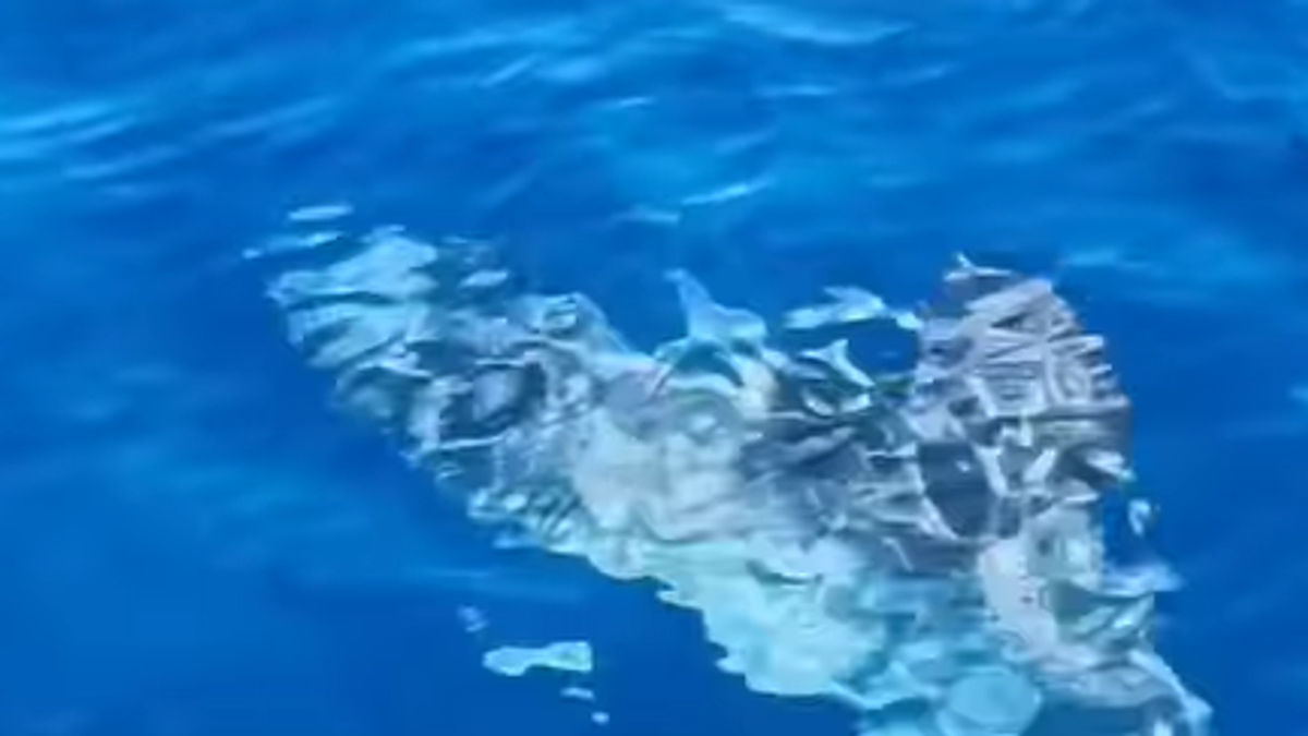 Veliki bucanj usnimljen u Jadranskom moru između Bara i Sutomora - Blic