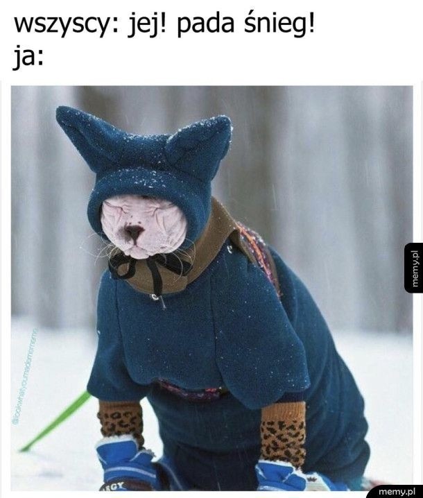 Zimno? Pora na rozgrzewającą dawkę śmiechu. Najlepsze memy o mrozie ...