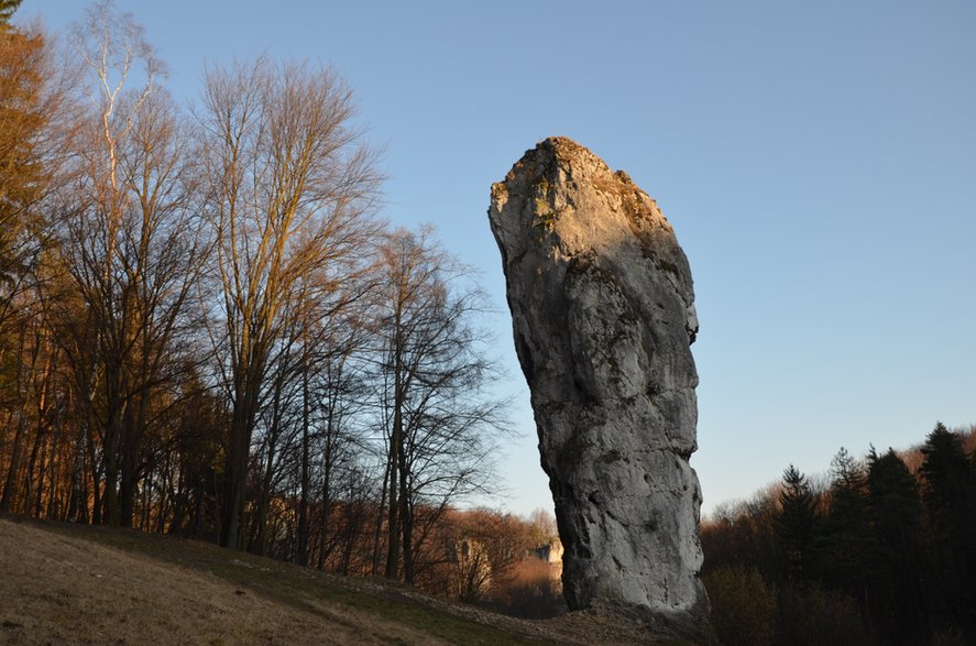 Ojcowski Park Narodowy szlaki piesze w parku - Turystyka