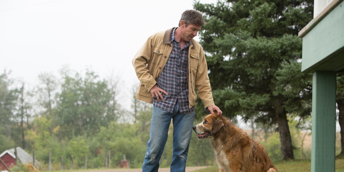 "Był sobie pies" najpopularniejszą premierą weekendu - Film