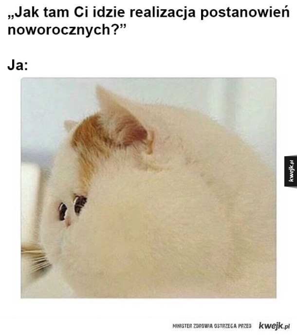 Najlepsze memy o noworocznych postanowieniach. Samo życie - Kobieta
