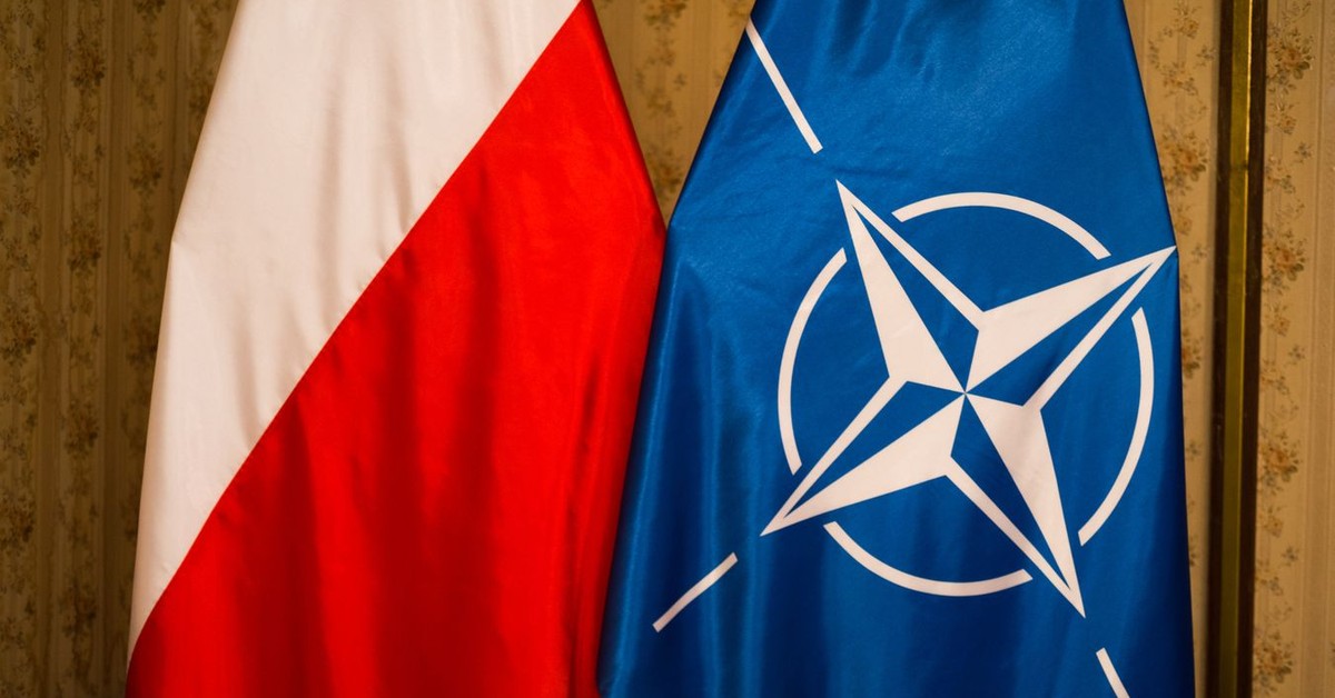 NATO, wojsko, UE. Polacy wskazali, kogo darzą największym zaufaniem ...