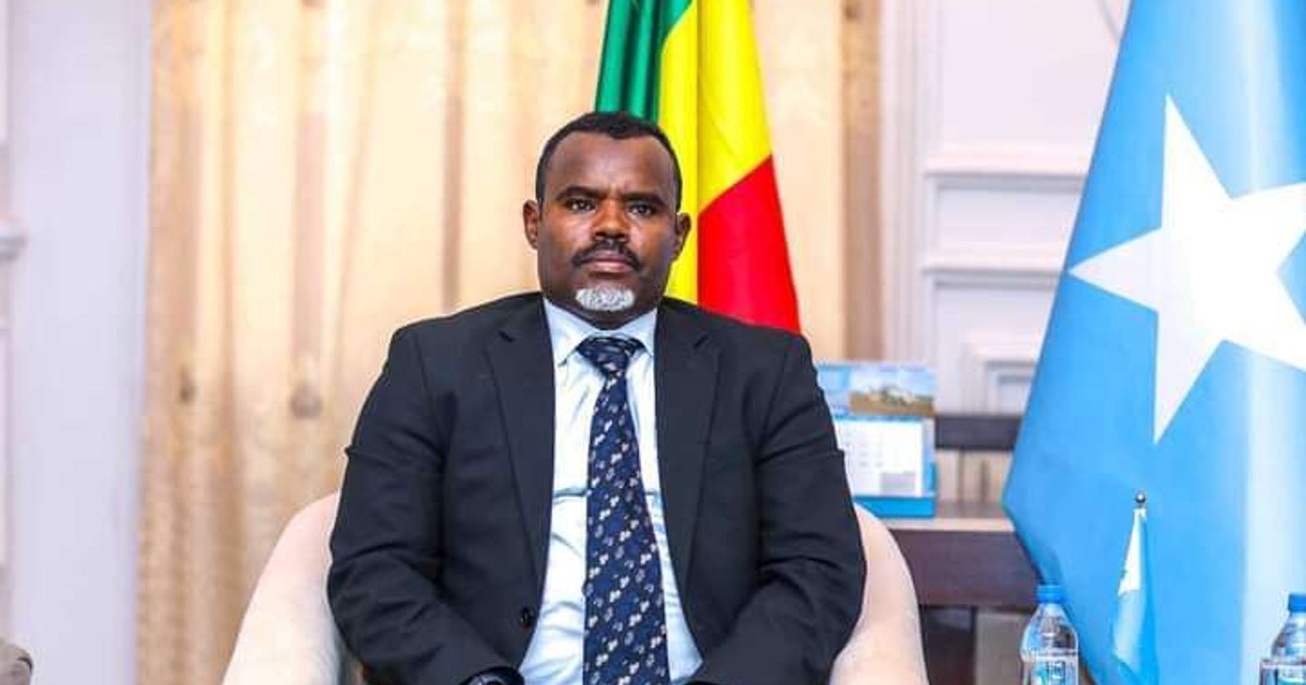Somalia expels Ethiopian ambassador amid brewing tension | Business Insider Africa