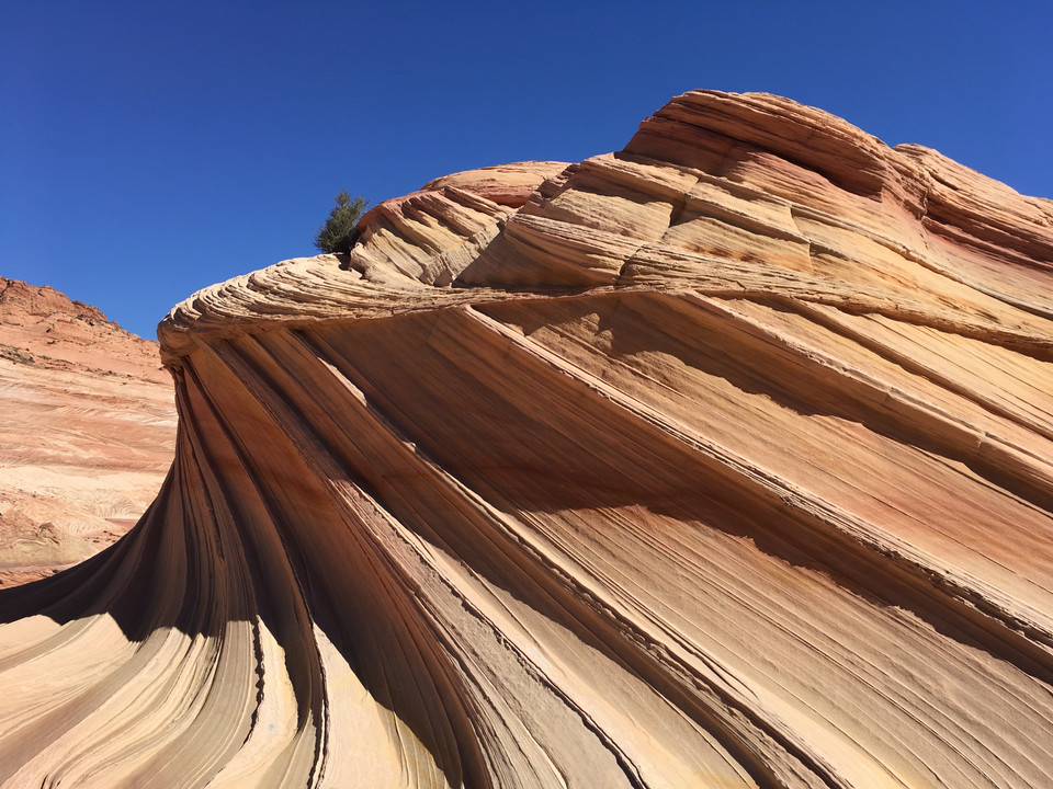 Formacja skalna The Wave (Fala) w Arizonie - zwiedzanie, losowanie ...