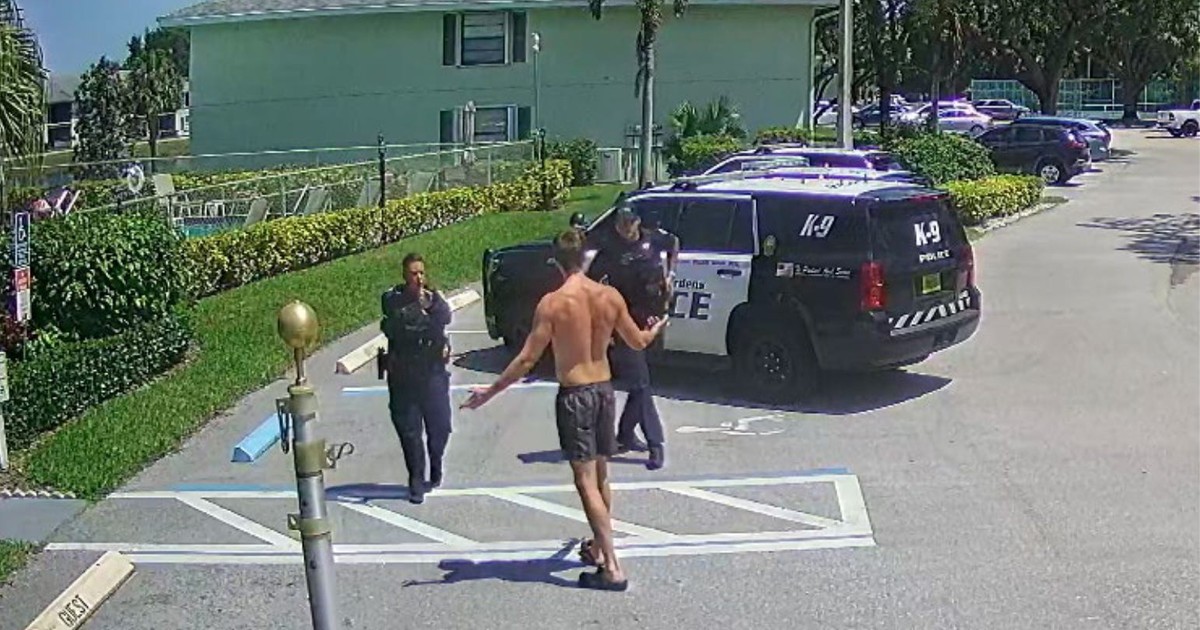 A man is suing a former Florida cop seen in a viral video pulling a gun ...