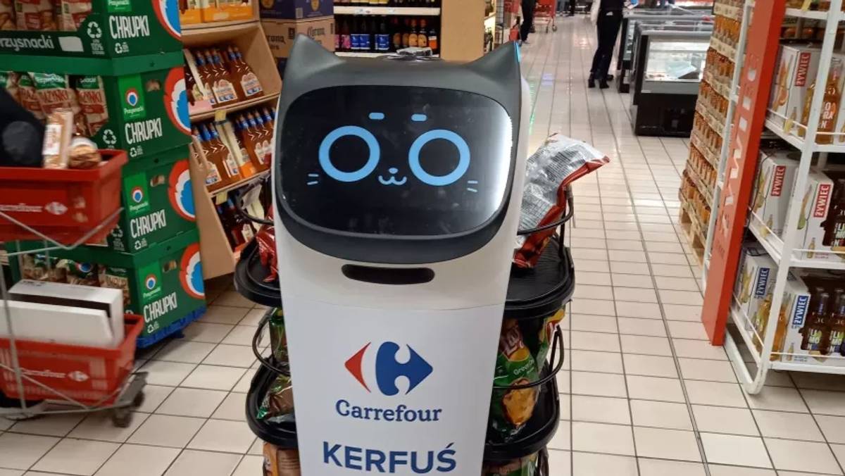 Kerfuś. Dlaczego Polacy chcą kopulować z robotem Carrefoura?