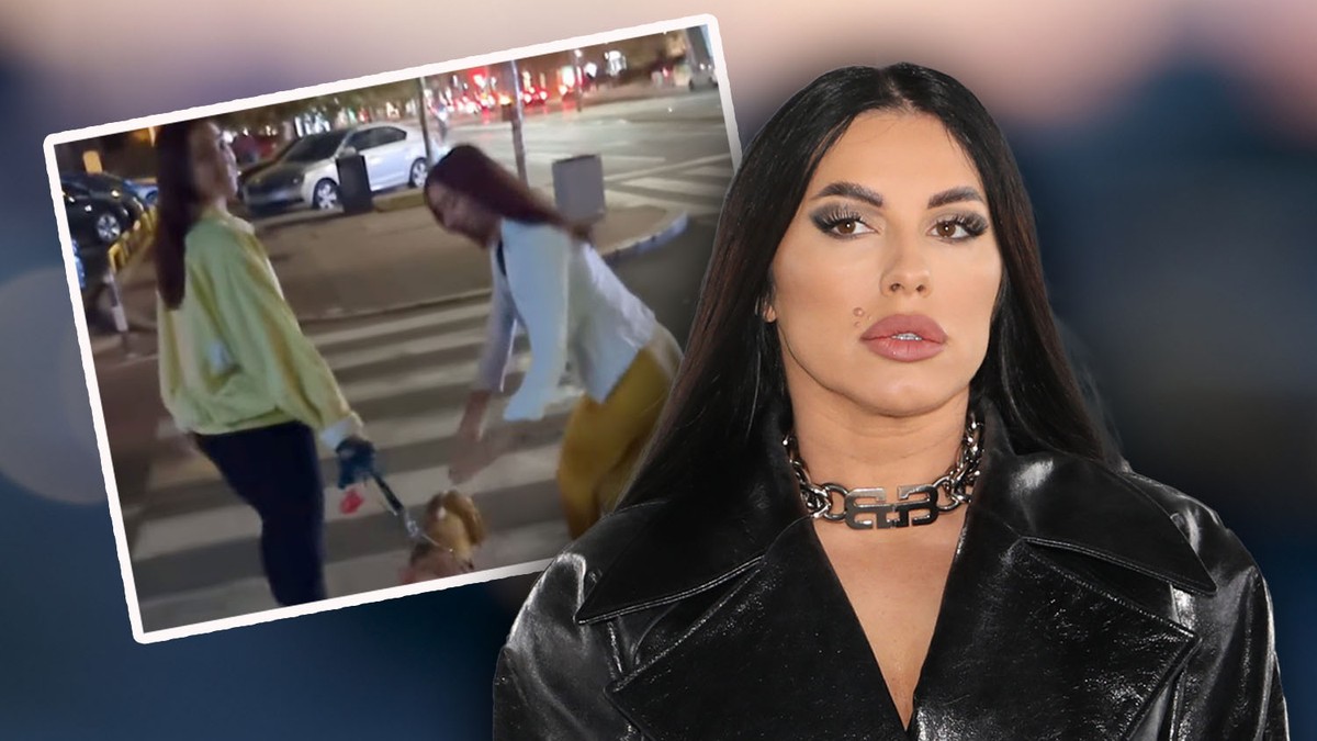 Seka Aleksić se oglasila nakon što su influenserke odvele psa u azil: "Fitnes bliznakinje ...