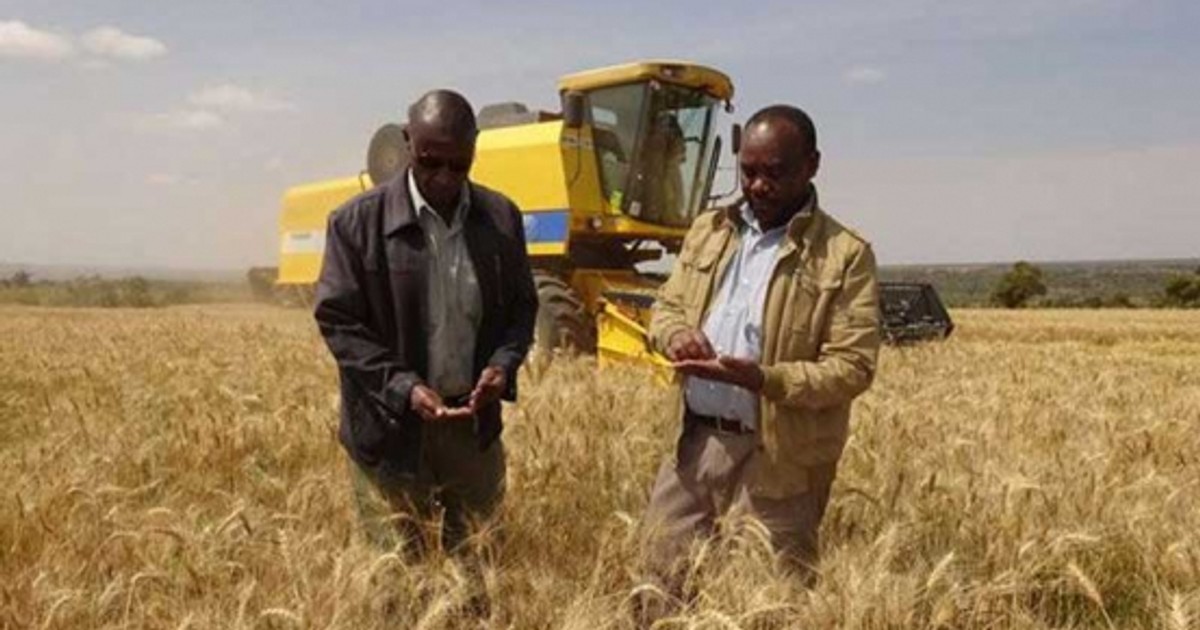 Russian Wheat Tops Kenya's Fastest-Growing Imports | Business Insider ...