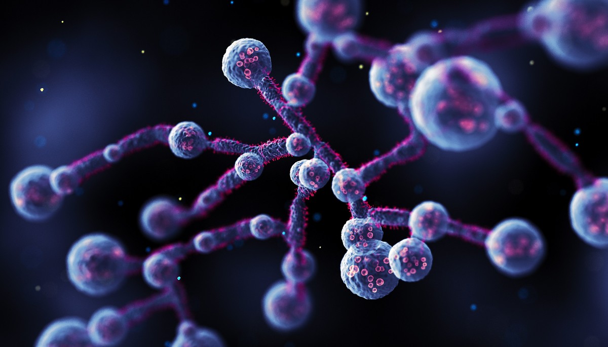 Candida: ez az igazi veszélye a gomba elszaporodásának a bélben ...