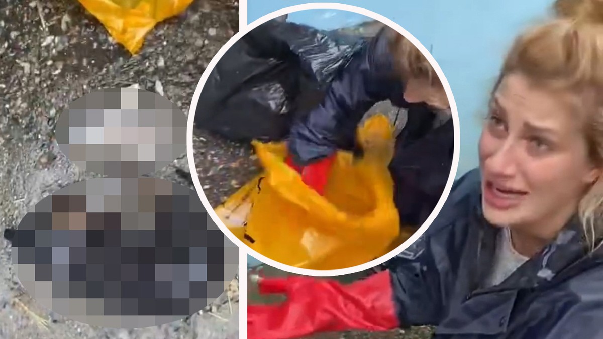 Volonterka pokazala jezive slike iz prihvatilišta za pse u Boru - Blic