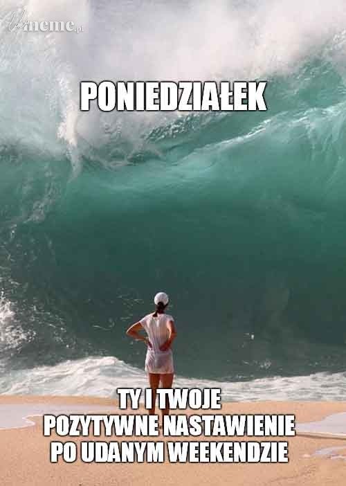Poniedziałek: memy na początek tygodnia [ZDJĘCIA] - Kobieta