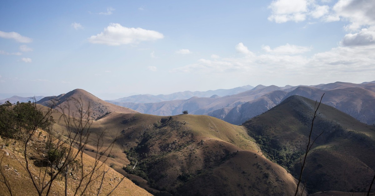 Remnants of life in ancient rocks reveal Earth had a rich ecosystem 3.4 ...