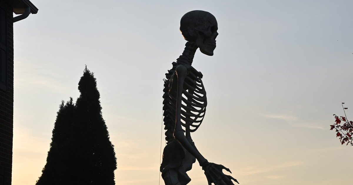 Home Depot's famous giant skeletons keep getting stolen from front ...
