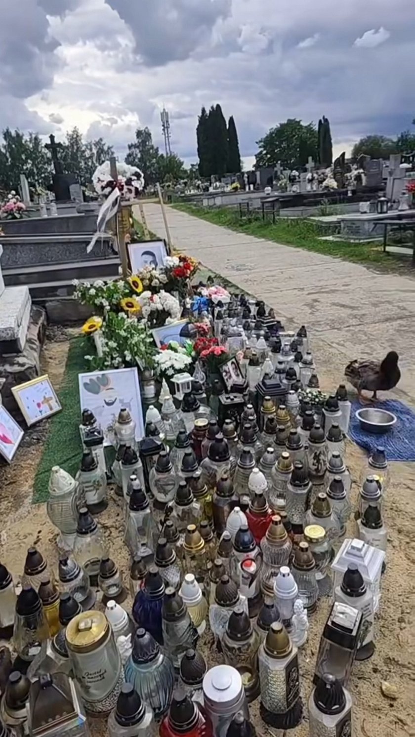 Grób Łukasza Litewki w Sosnowcu znów tonie w kwiatach i zniczach