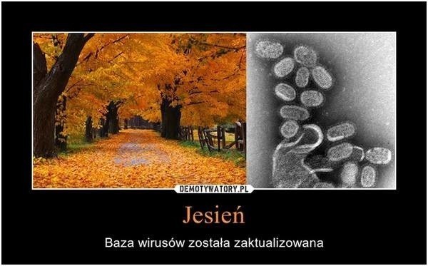 Listopadowa pogoda nie rozpieszcza. Oto najlepsze memy o jesieni - Kobieta