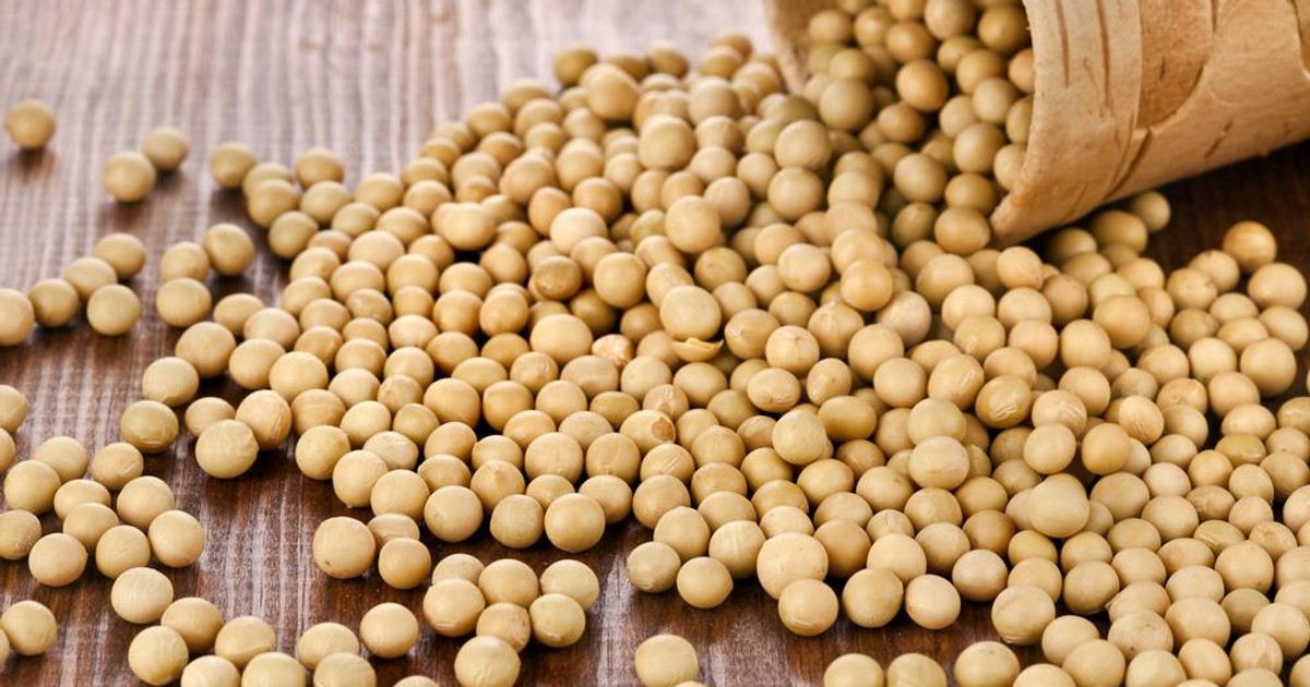 Co to są fitoestrogeny?