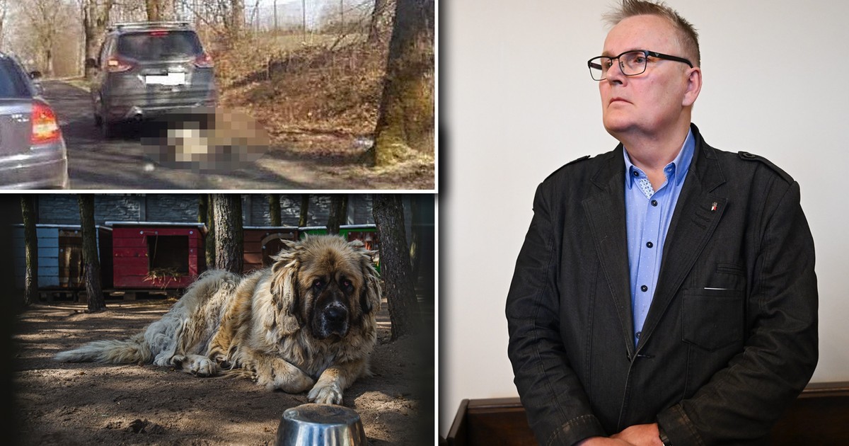 Waldemar Bonkowski nie wykona prac społecznych. Decyzja sądu w Kościerzynie
