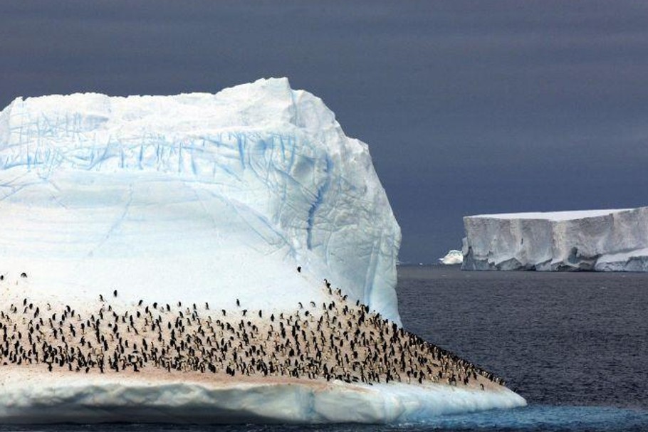 Antarktyka - nowym pomysłem na wakacje - Newsweek.pl