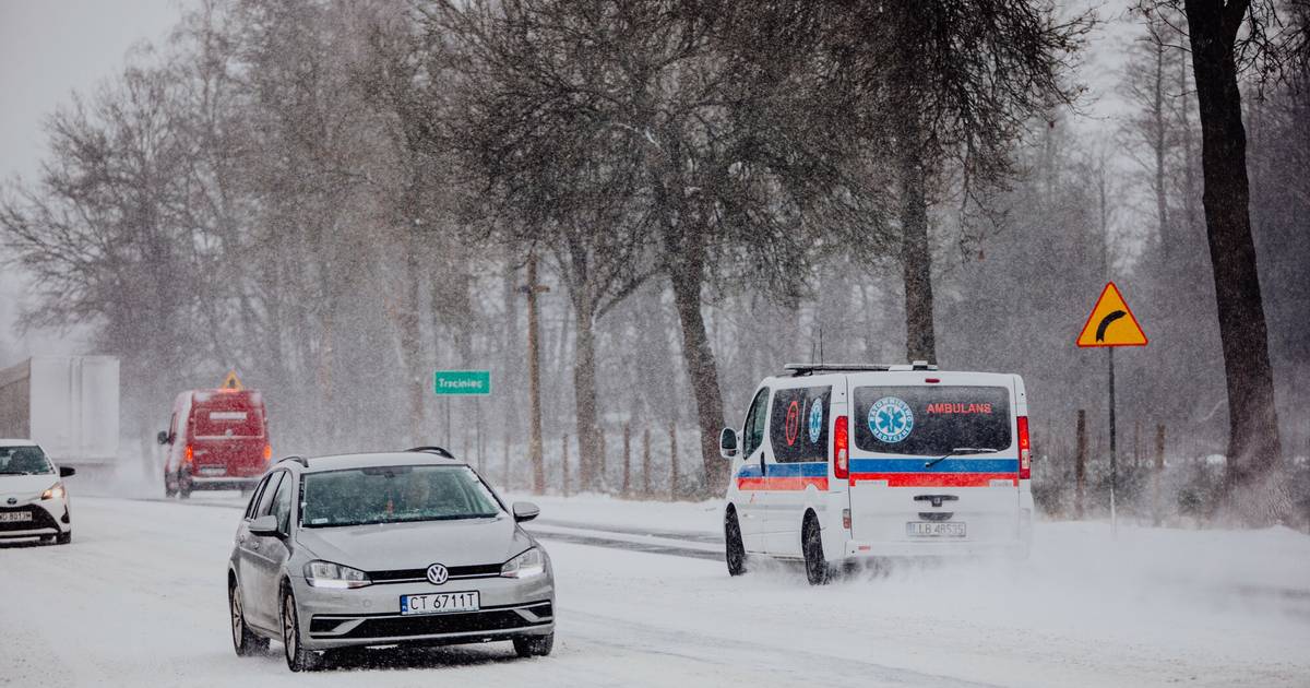 Prof. Karaczun: "Śnieżyce nie zmieniają faktu, że z klimatem jest źle ...