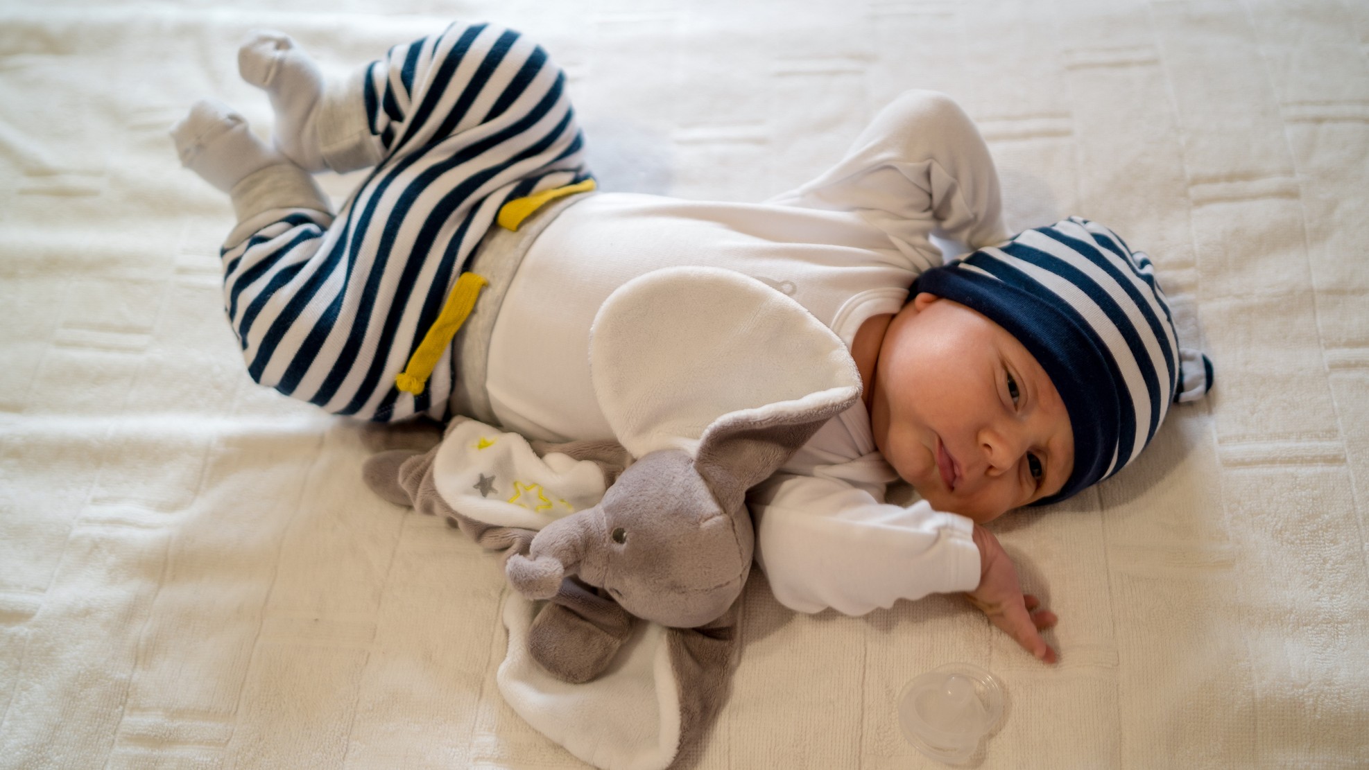 Dnes oslavuje meniny Marián, aký je význam tohto mena? Zaujímavosti ...