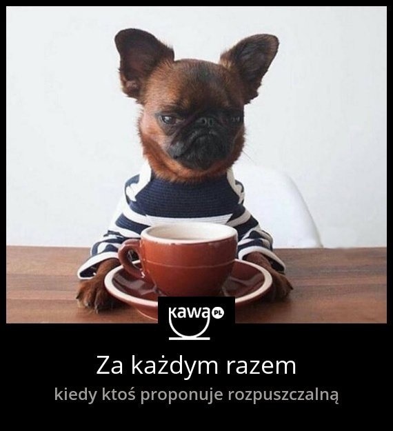 Najlepsze memy o kawie na Dzień Kawy. Spróbuj się nie zaśmiać - Kobieta