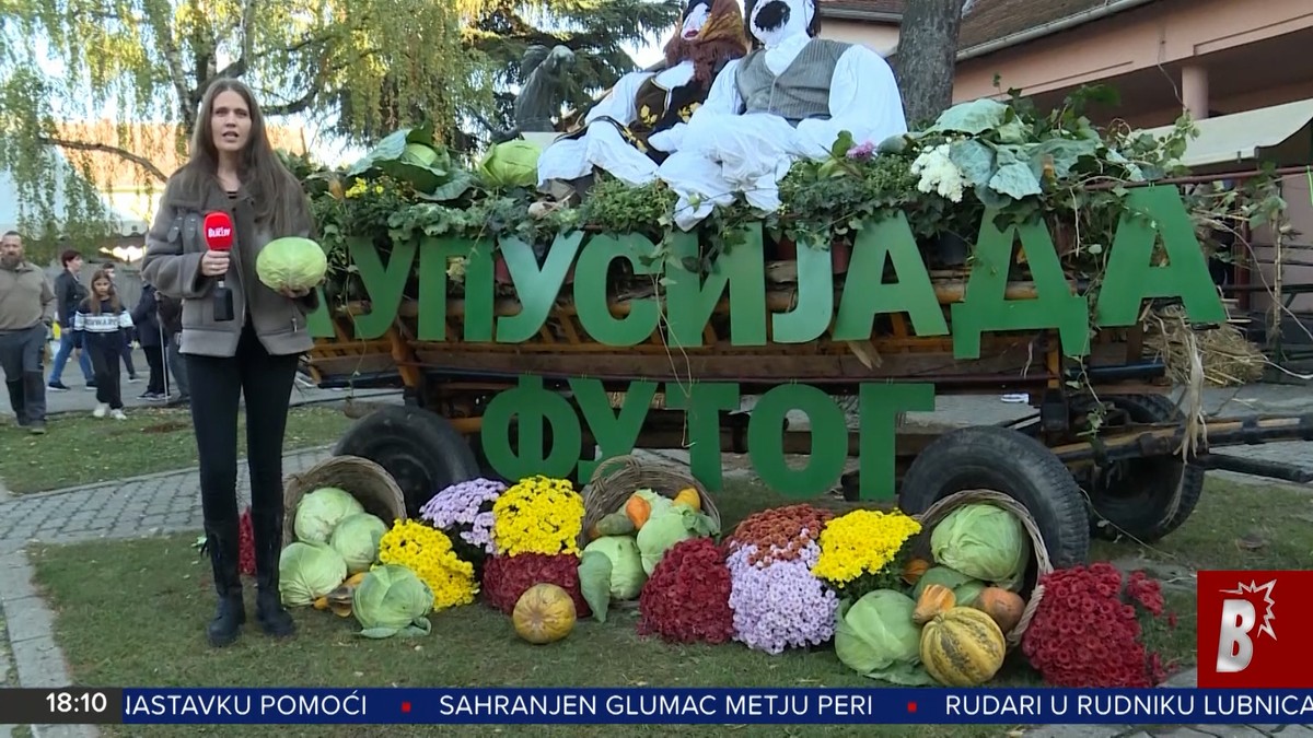 Otvorena tradicionalna 24. Kupusijada u Futogu - Blic