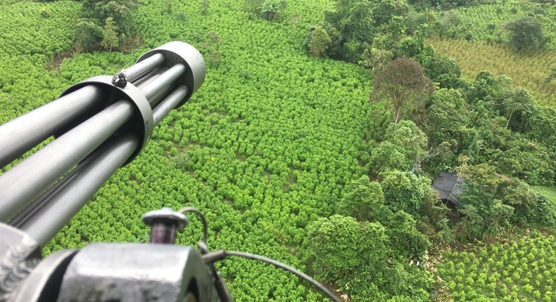 Step inside a Colombian jungle lab where coca leaf begin its journey to ...