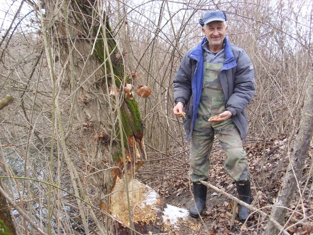 Dabrovi se doselili na Drinu i Jadar