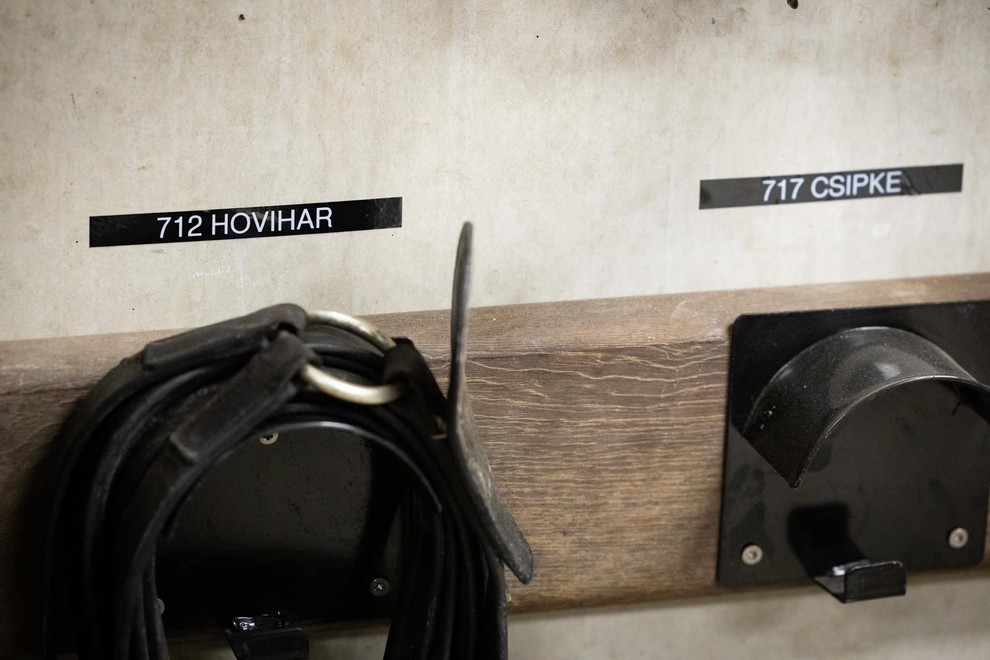 Novák Katalin lóra pattant - fotók - Blikk