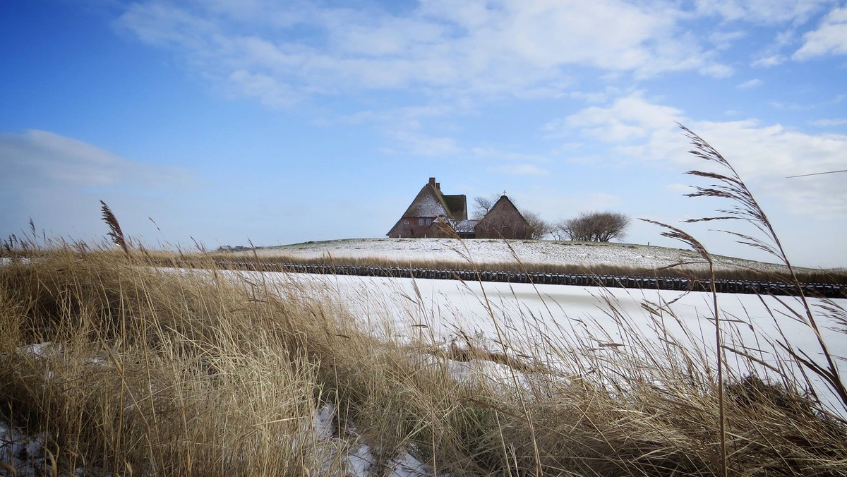 Niemiecka wyspa Hooge. Raj dla odludków - Podróże
