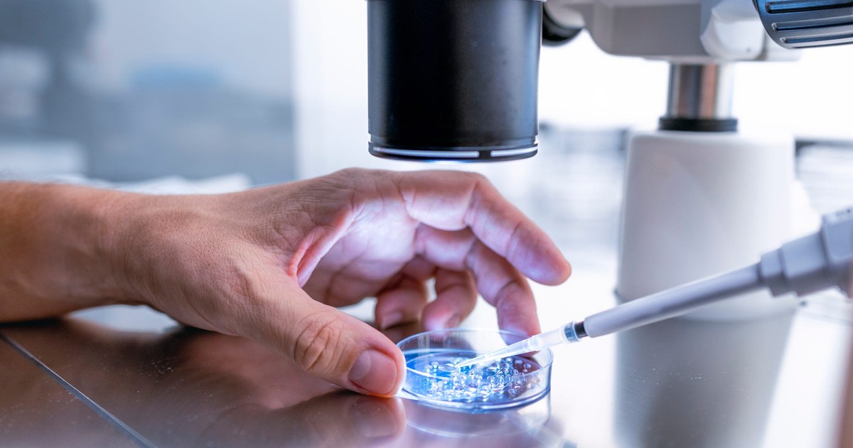 Scientists Made Tiny Living Robots From Human Cells That May One Day