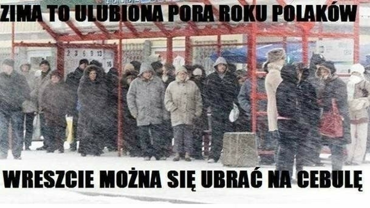 Zimno? Pora na rozgrzewającą dawkę śmiechu. Najlepsze memy o mrozie ...