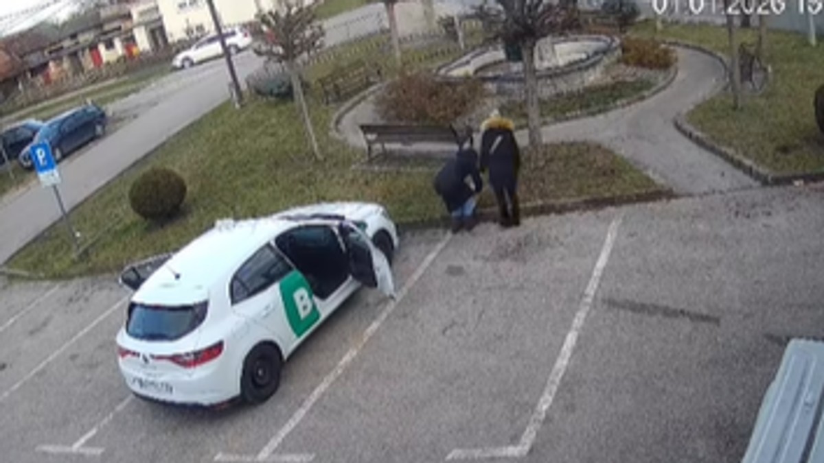 Sedam štenaca ostavljeno u kesi u Lukavcu: Ubrzo su svi uginuli - Blic