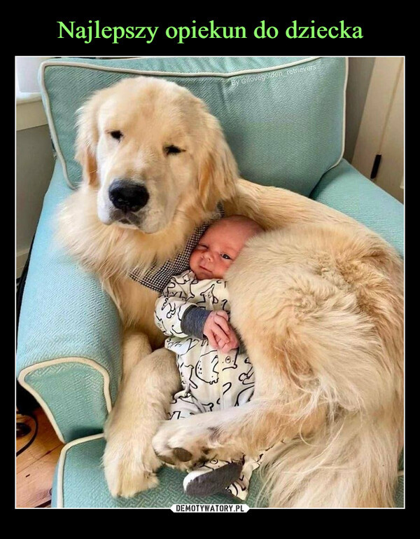 Najlepsze memy na Dzień Dziecka. Daj się rozbawić! - Kobieta