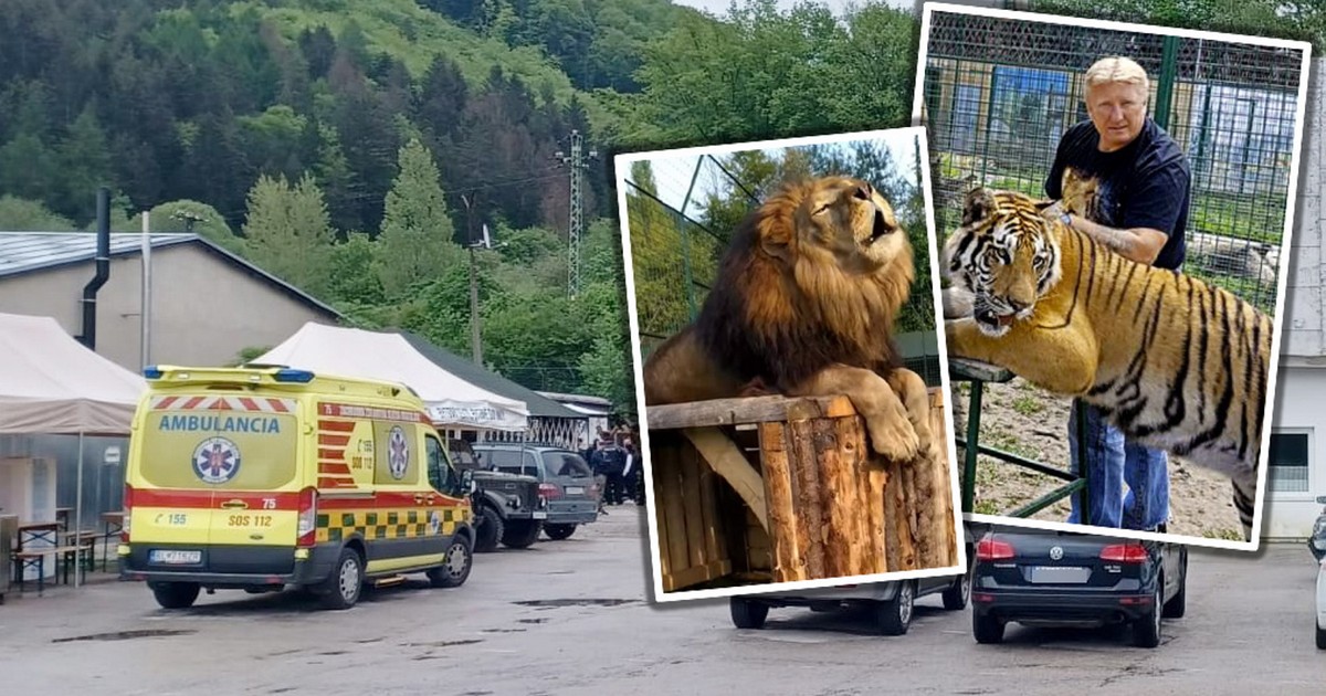 Europejskiego "króla tygrysów" rozszarpały jego lwy! Kim był Jozef Bajanek?