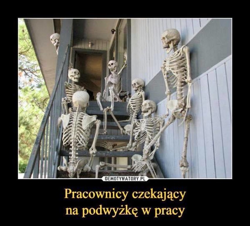 Najlepsze memy o podwyżce. Czasami to śmiech przez łzy - Kobieta